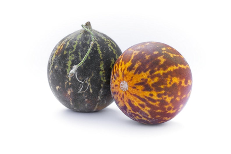 Rare Melon Seeds-tigger Melon 10 Seeds small Juicy Sweet - Etsy