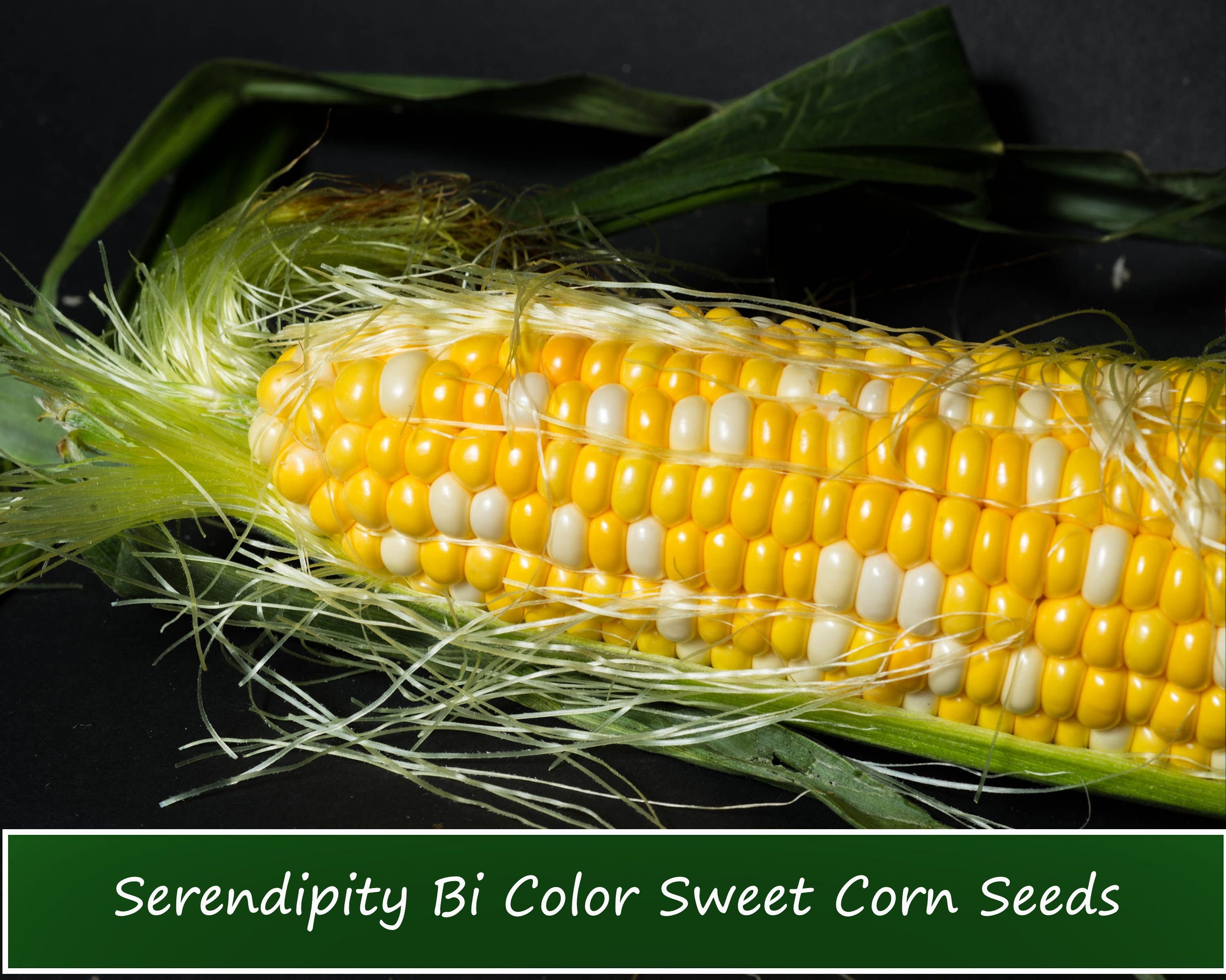 Super Sweet Corn Varieties