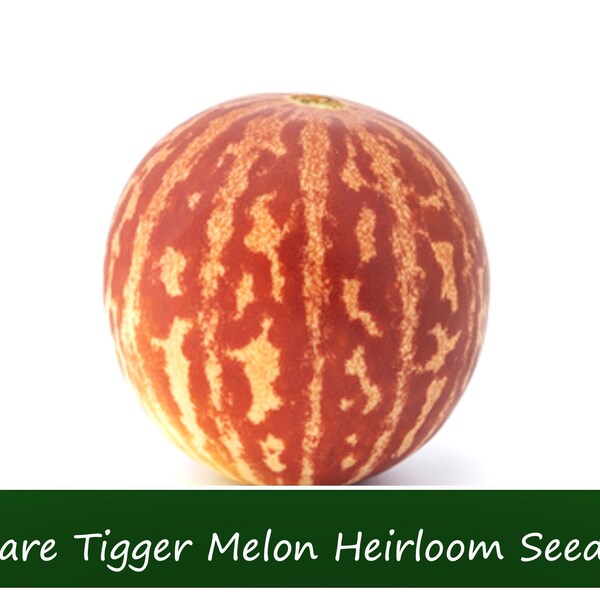 Rare Vegetable Seeds - Etsy