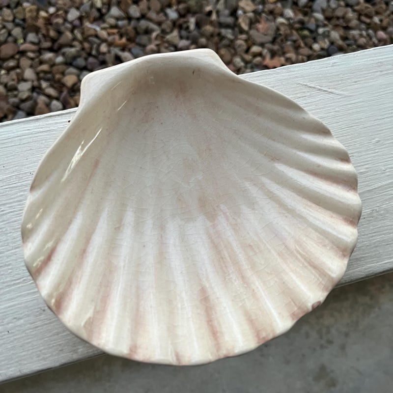 Shell Soap Dish - Etsy