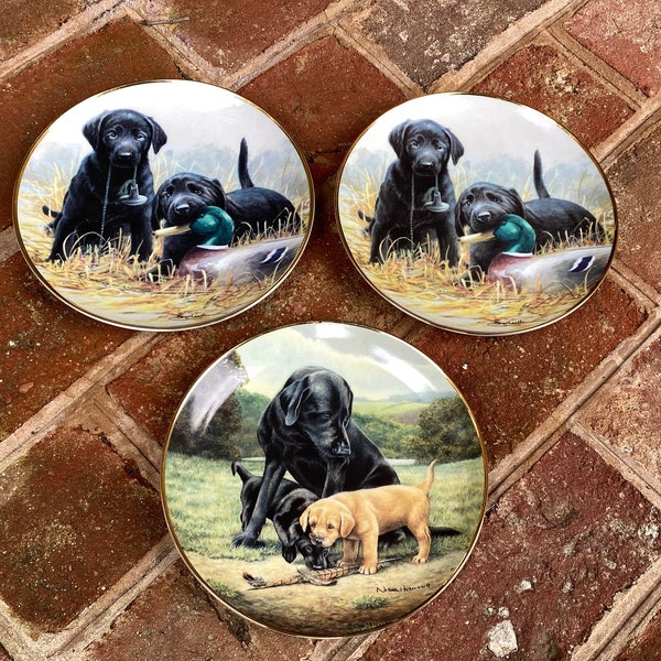 Sporting Dog Art - Etsy