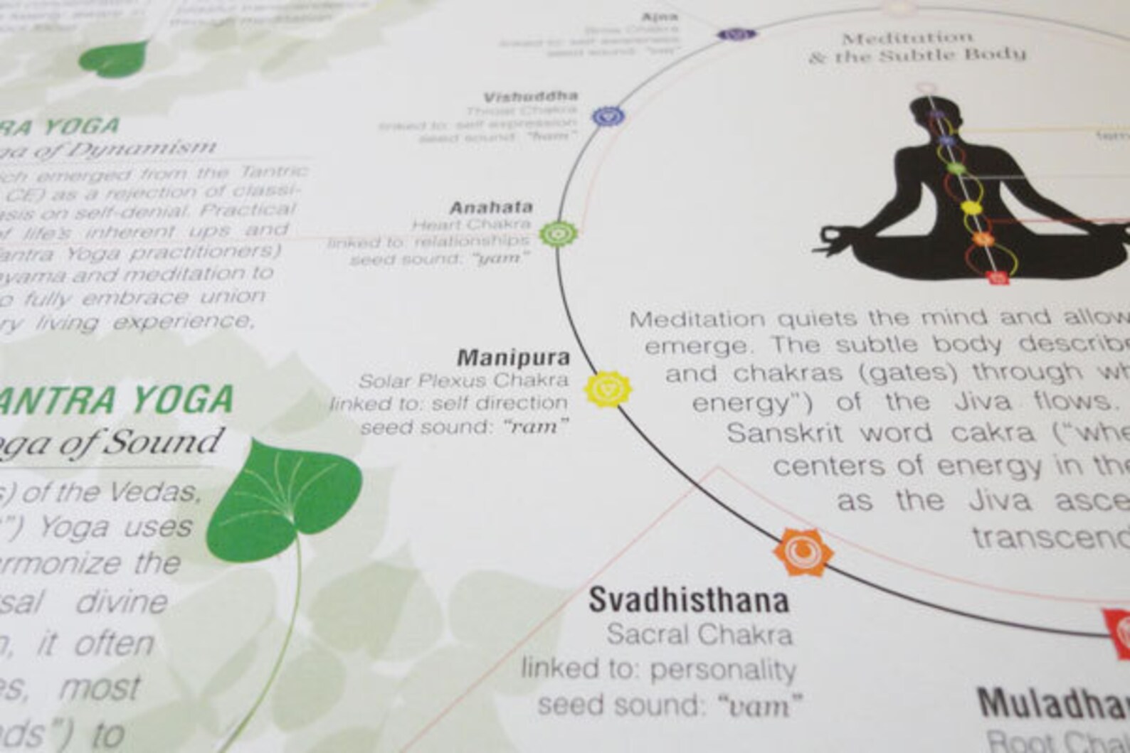 The Yoga Poster: A visual guide to the practice of yoga | Etsy