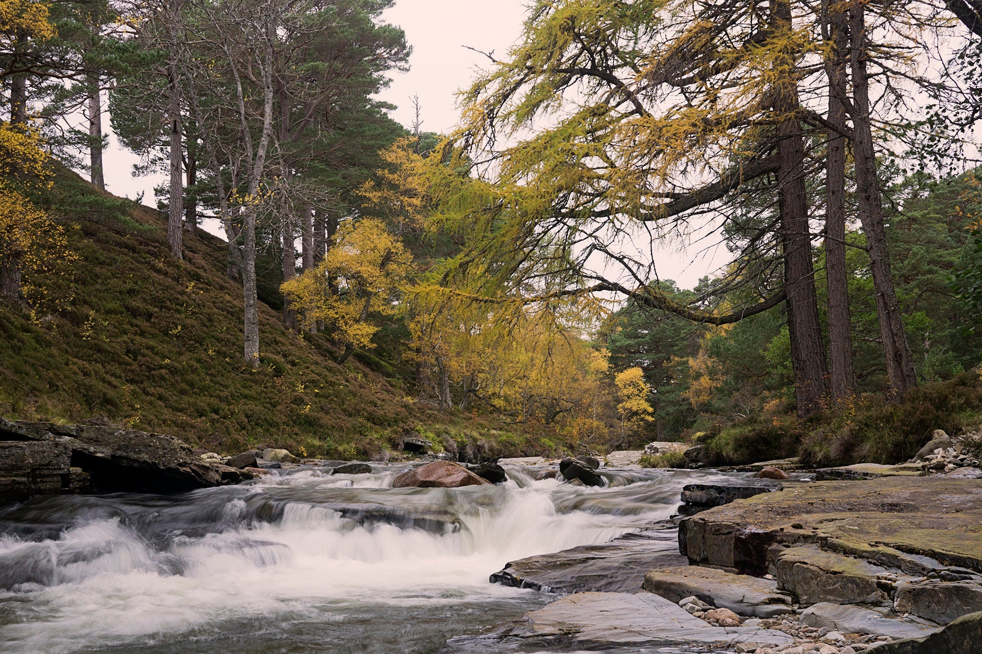 Autumn River Decor Fine Art Photography Waterfall Decor - Etsy