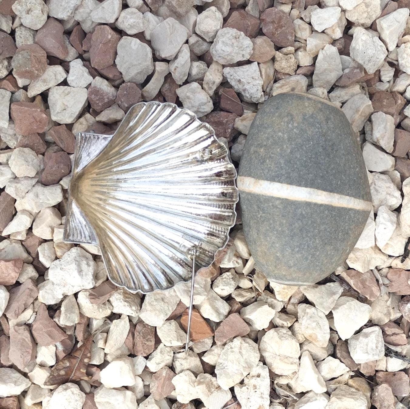 Large Scallop Shell Pin - Etsy