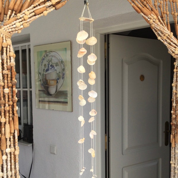 Hanging Shells - Etsy