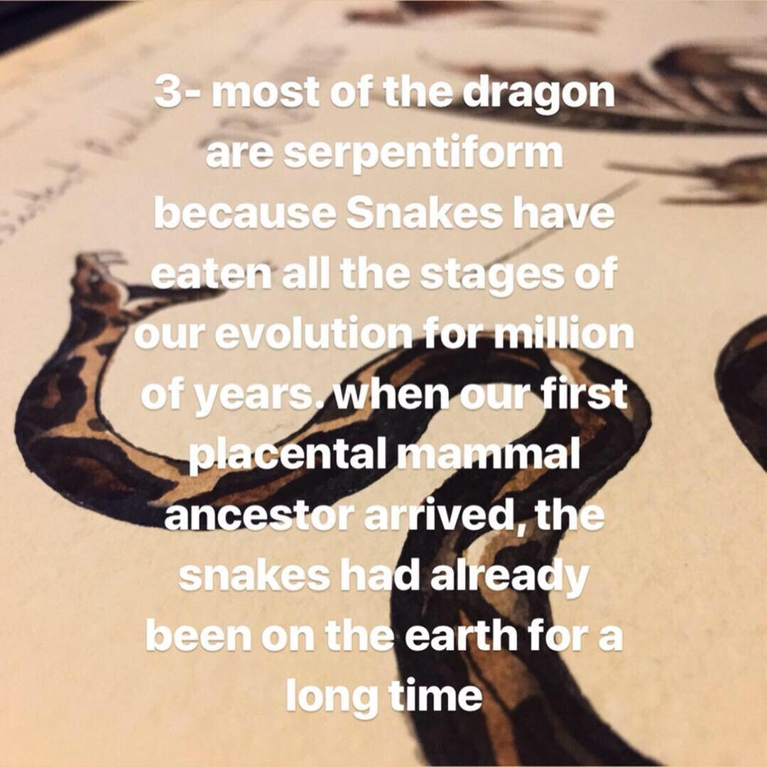 The Origin of Dragons Print Painting Art Illustration - Etsy Australia