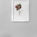 Renaissance Rose in Hand. Flower Art Home Decor Poster - Etsy UK
