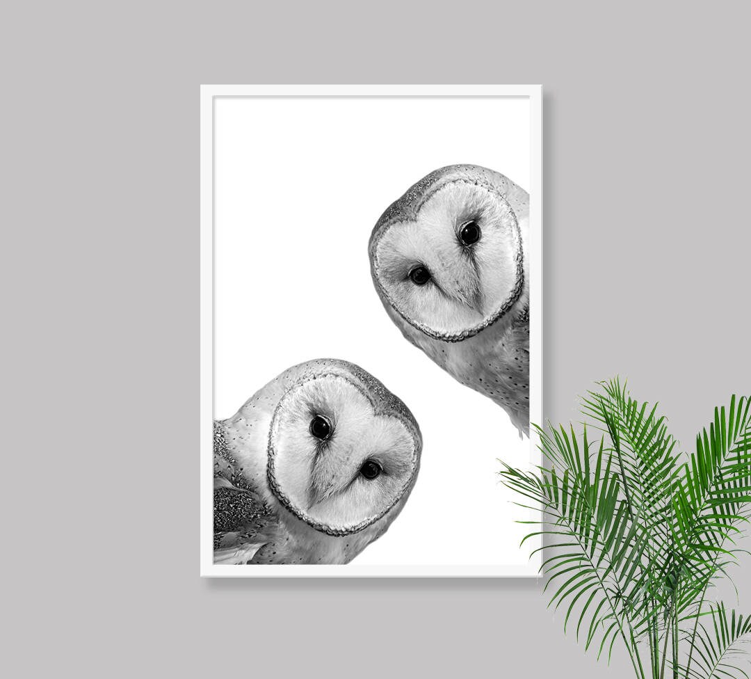 OWL PRINTABLE Cute Owls Print Printable Poster Owl Wall | Etsy