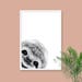 CUTE PEEKABOO SLOTH Drawing Download, Sloth Art, Peekaboo Sloth Print ...