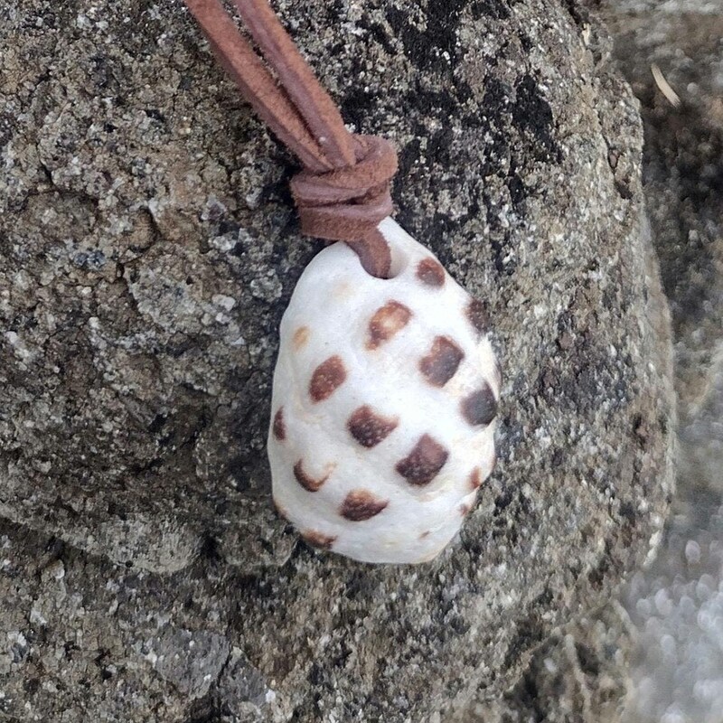 Shell Necklace - Etsy