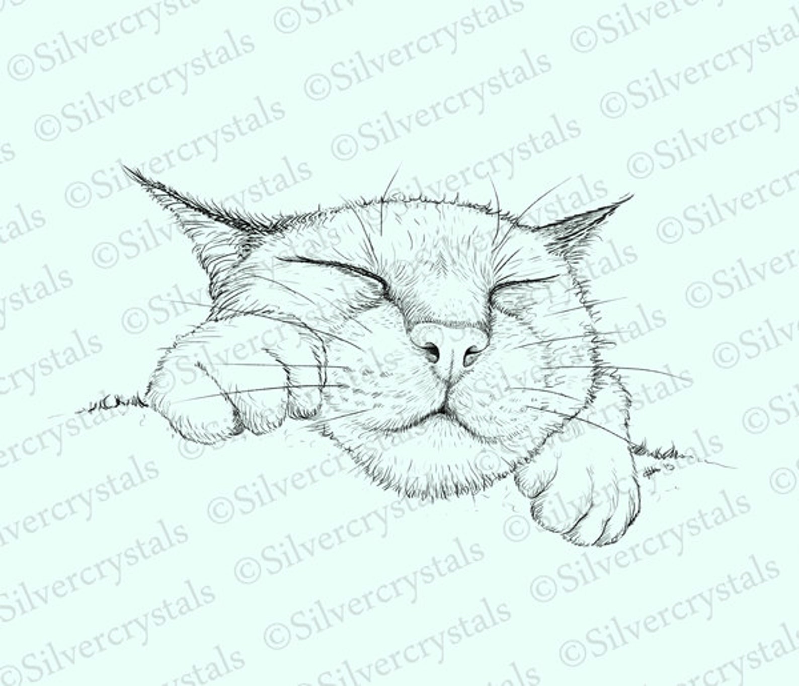 Cat Digital Stamp Kitty Kitten Clipart Cute Paws Pretty - Etsy