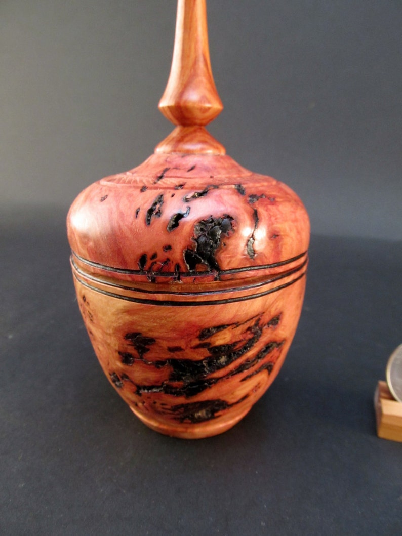 Box Lidded Container Australian Red River Gum Burl With a - Etsy