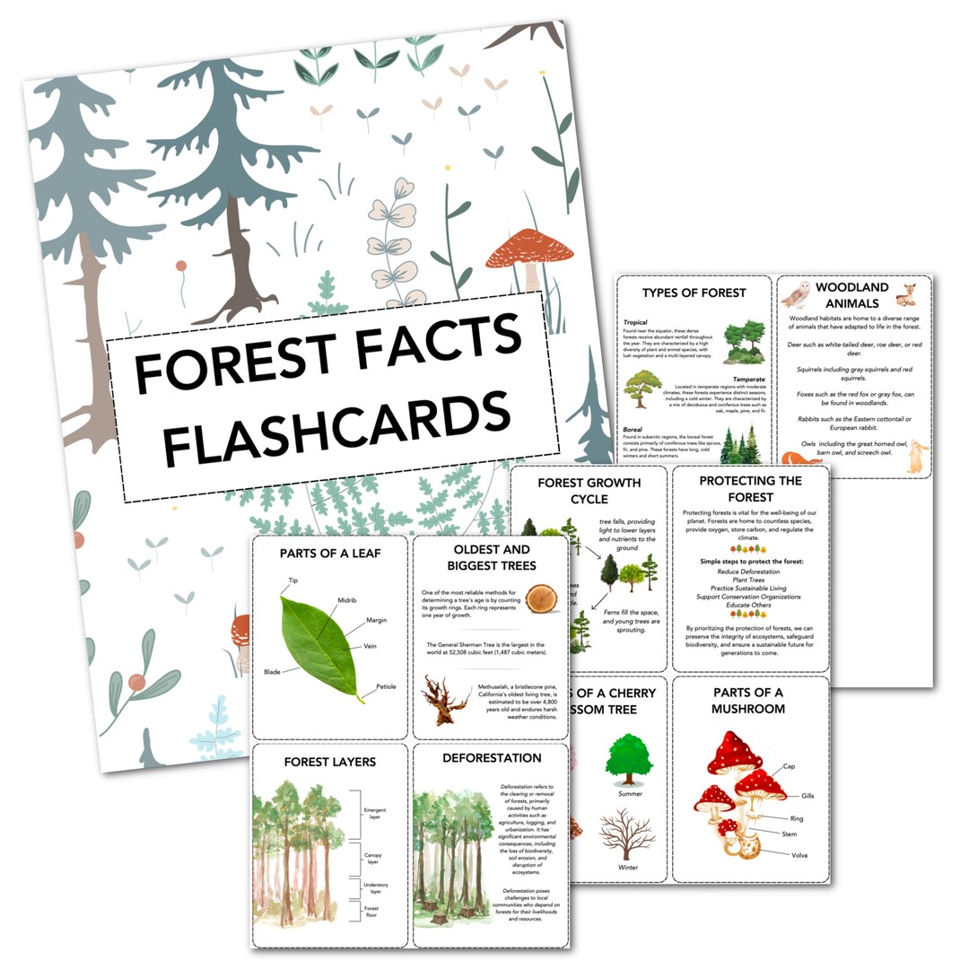 Forest Flash Cards, Homeschool, Nature Study, Botany, Science ...