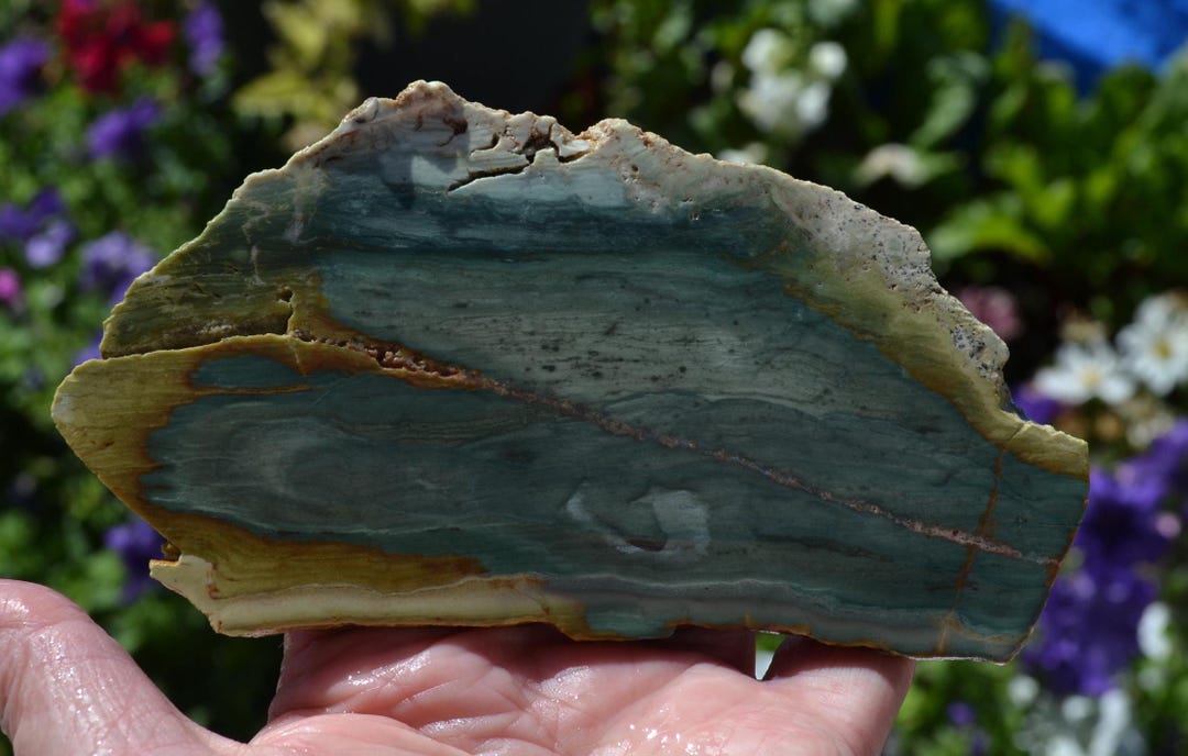 Gary Green Jasper (larsonite) Slab - Etsy