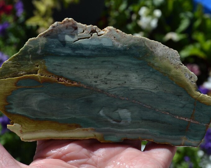 Gary Green Jasper (larsonite) Slab - Etsy