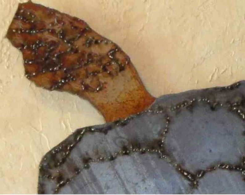 Sea Turtle 1 Sheet Metal Wall Art - Etsy
