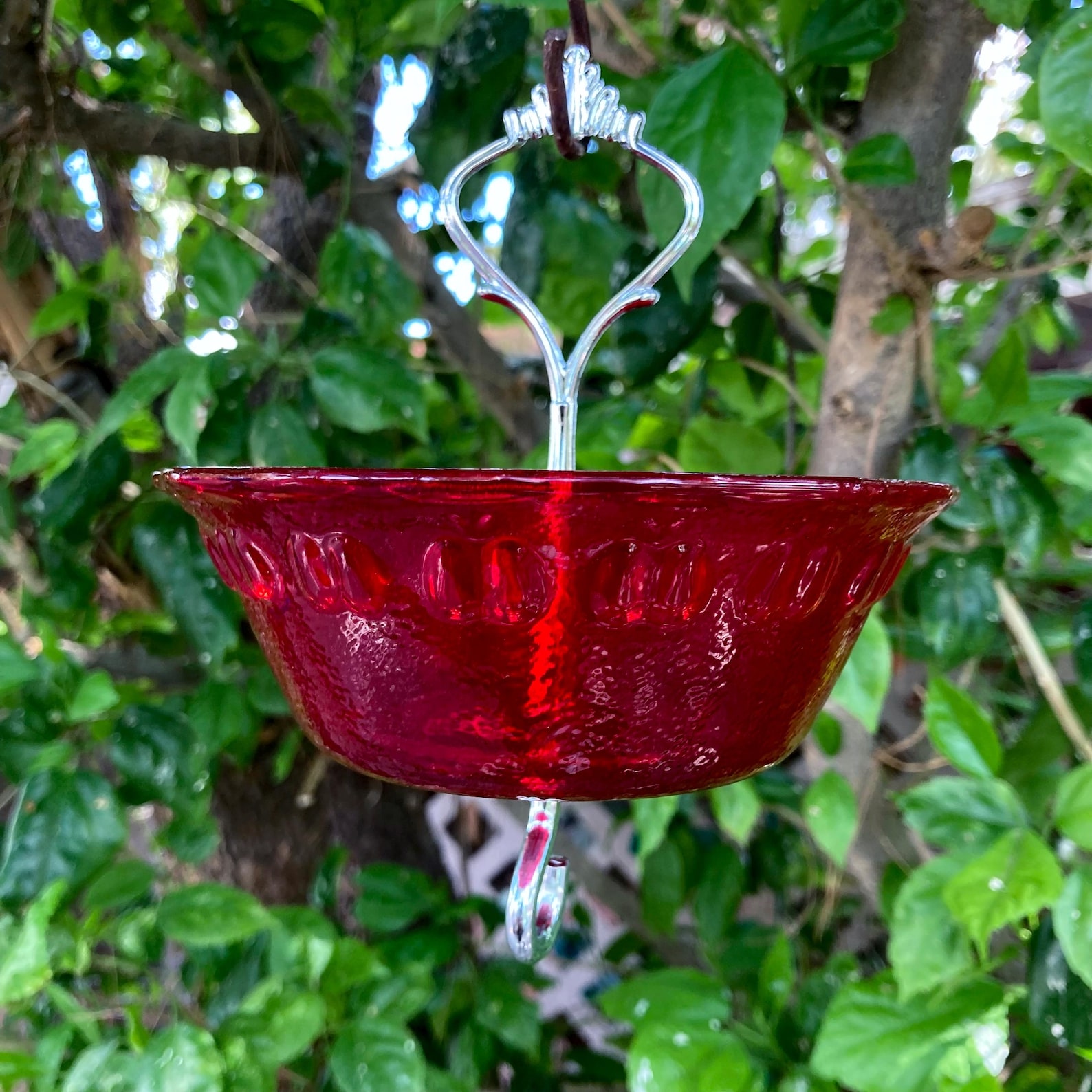 Fancy Ant Moat: Natural Ant Prevention for Bird Feeders - Etsy