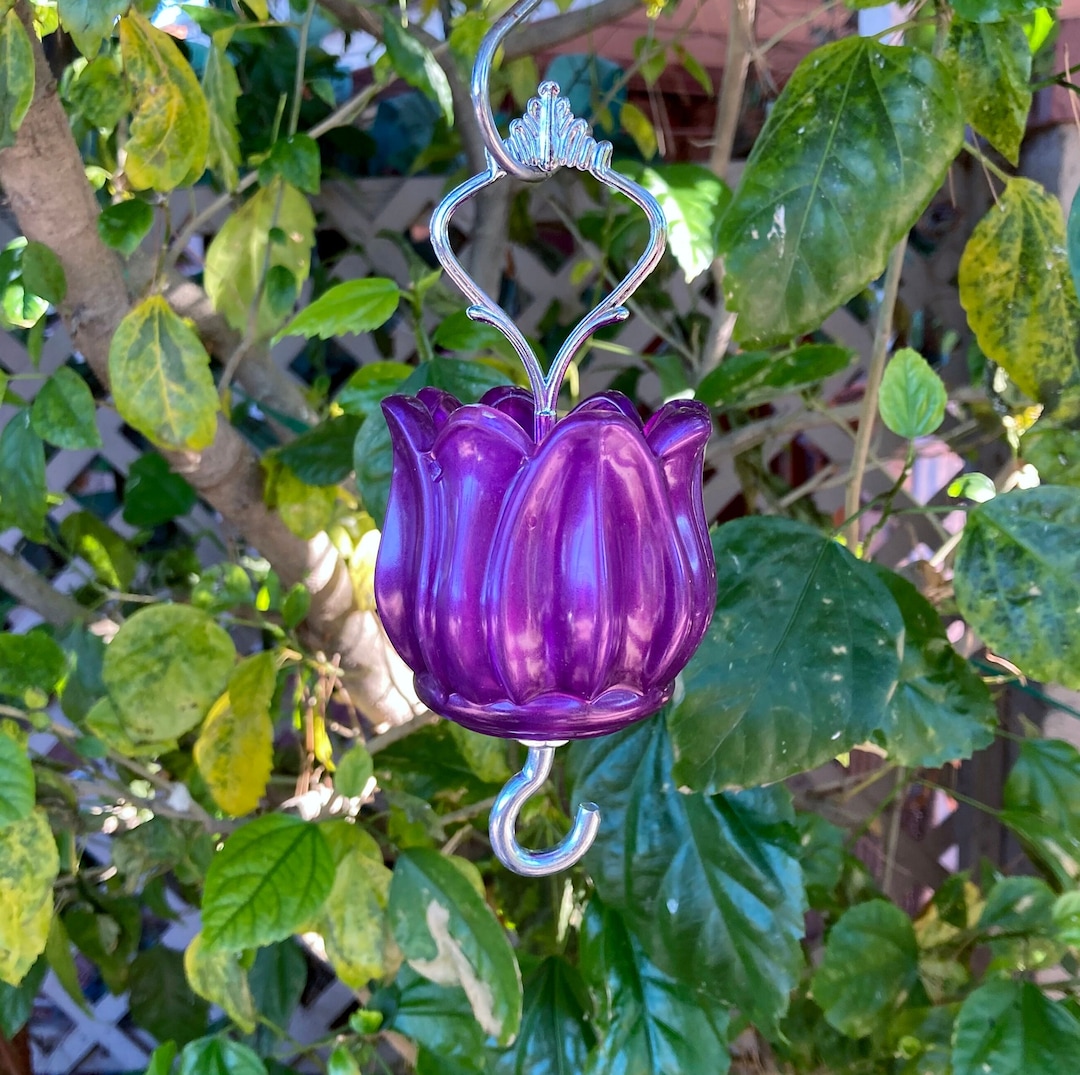 Glass Tulip Ant Moat: Natural Ant Prevention for Bird Feeders - Etsy