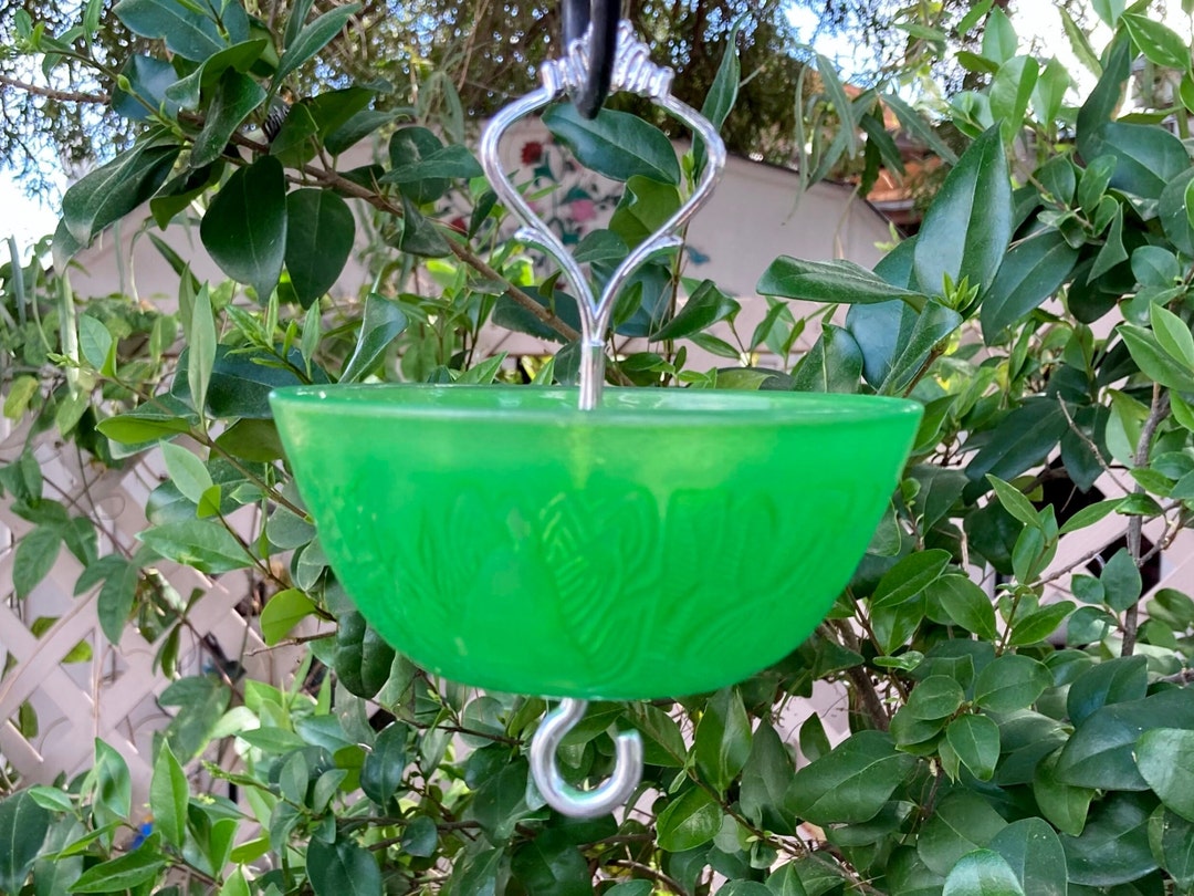 Ant Moat, Fancy Large Ant Trap, Ant Prevention, Natural Ant Prevention ...