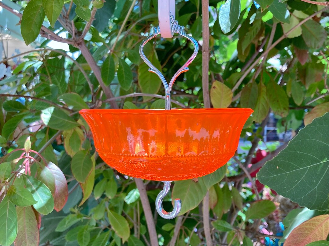 Ant Moat, Fancy Large Ant Trap, Ant Prevention, Natural Ant Prevention ...