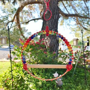 Hummingbird Swing, Small Bird Swing, Hummingbird Perch, Indoor/outdoor ...