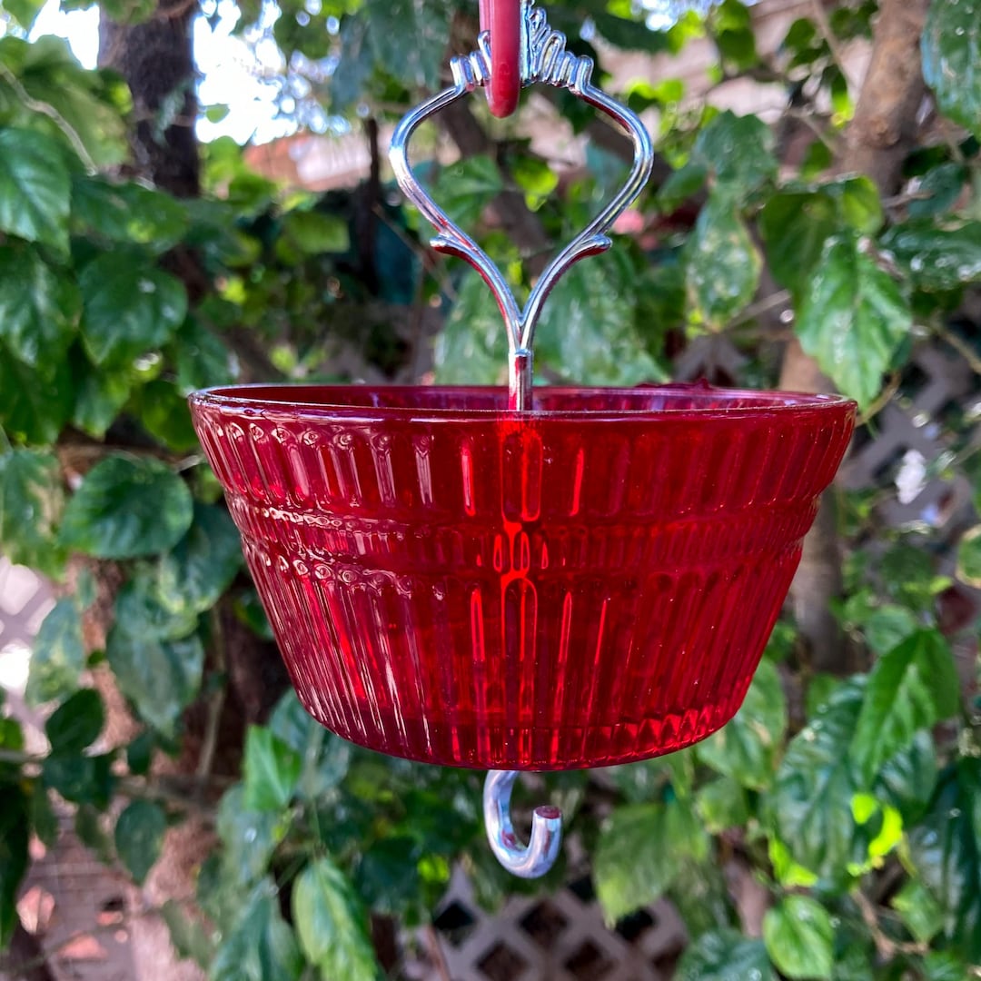 Fancy Ant Moat: Natural Ant Prevention for Bird Feeders - Etsy
