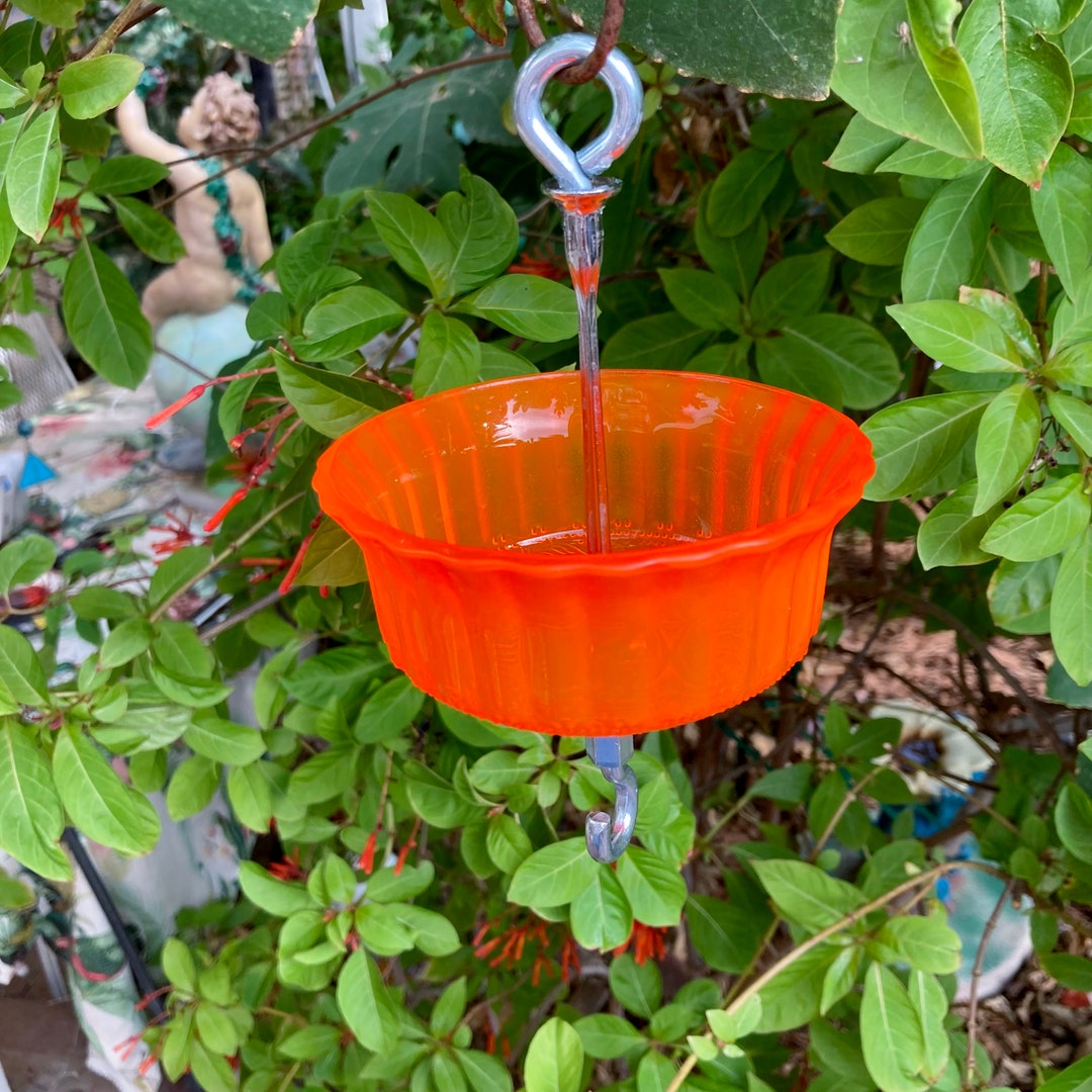 Ant Moat, Fancy Large Ant Trap, Ant Prevention, Natural Ant Prevention ...