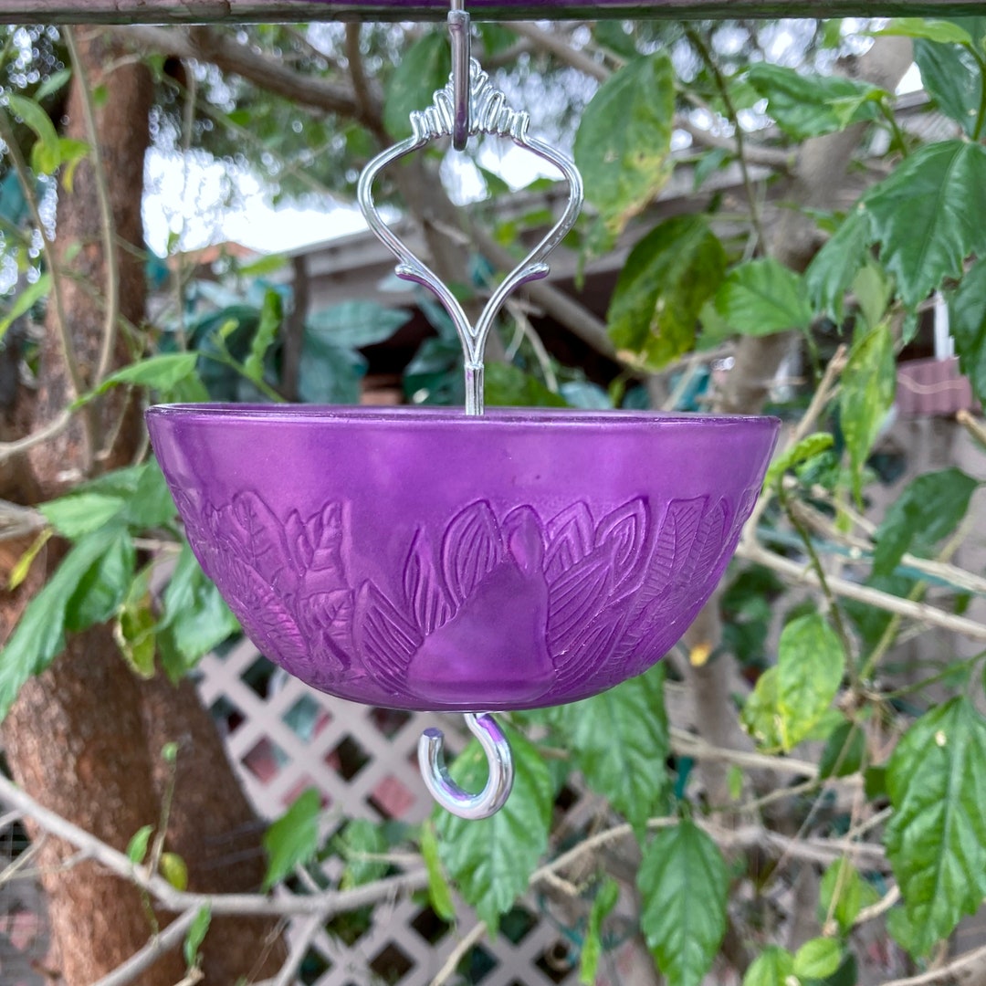 Fancy Ant Moat: Natural Ant Prevention for Hummingbird & Oriole Feeders ...