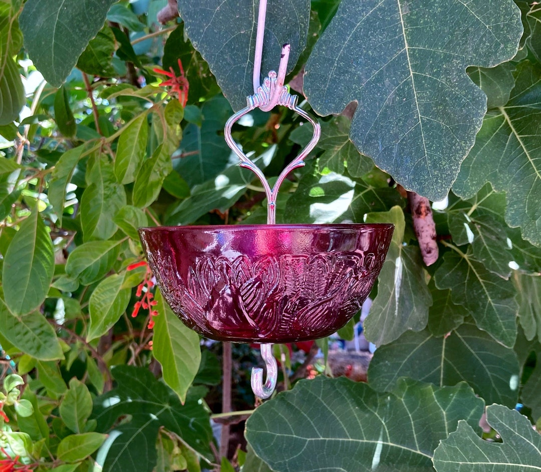 Ant Moat, Fancy Large Ant Trap, Ant Prevention, Natural Ant Prevention ...