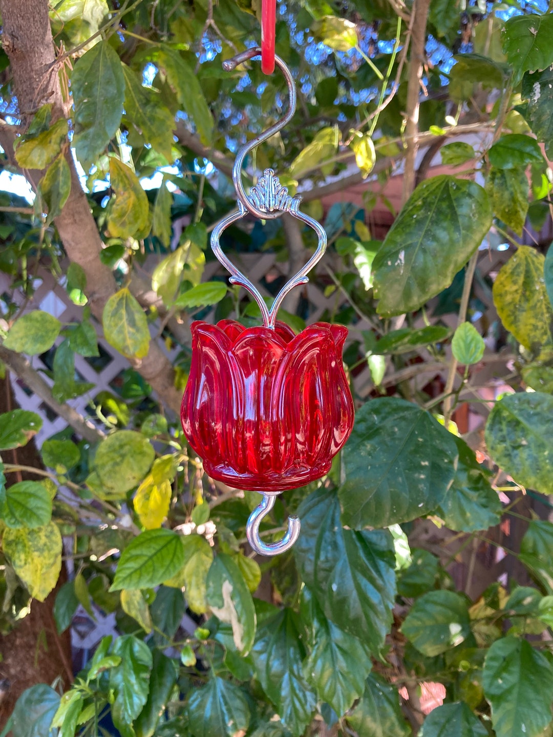 Glass Tulip Ant Moat: Natural Ant Prevention for Bird Feeders - Etsy