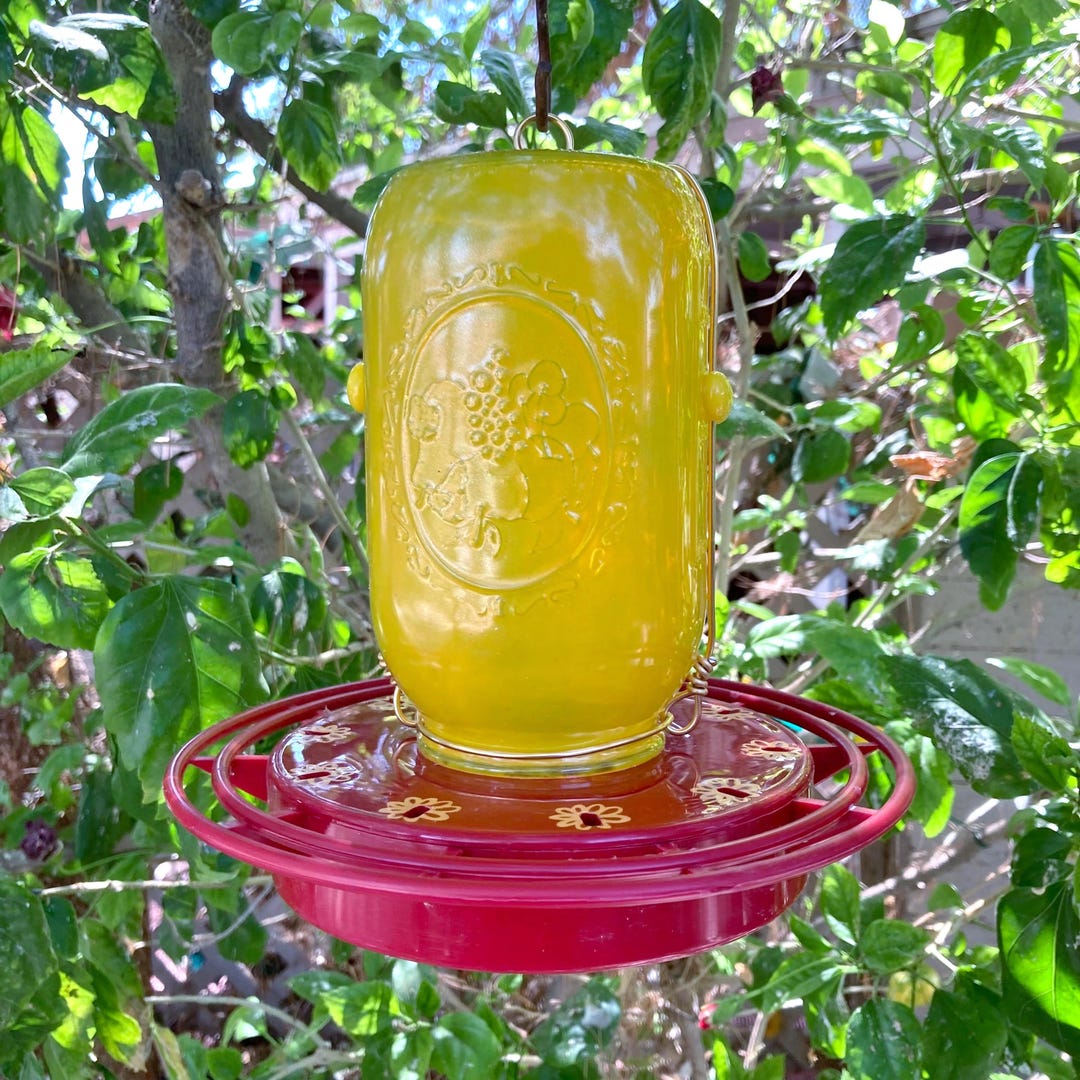 Mason Jar Hummingbird Feeder: Large Capacity, 10 Feeding Ports - Etsy
