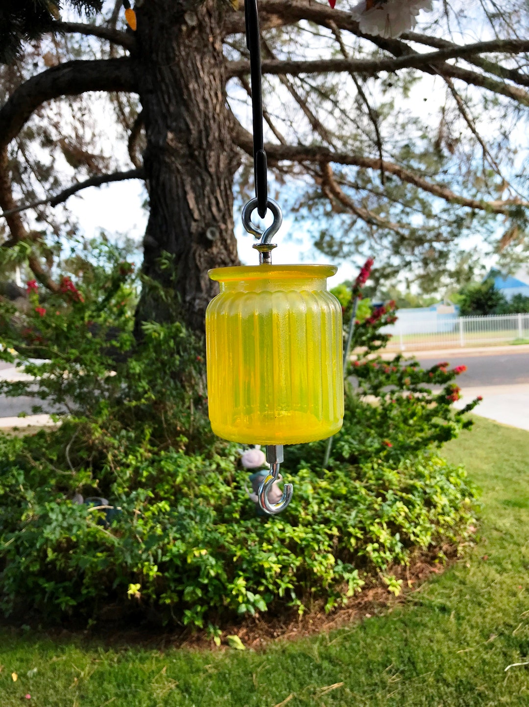 Recycled Glass Ant Moat: Natural Ant Prevention for Feeders - Etsy