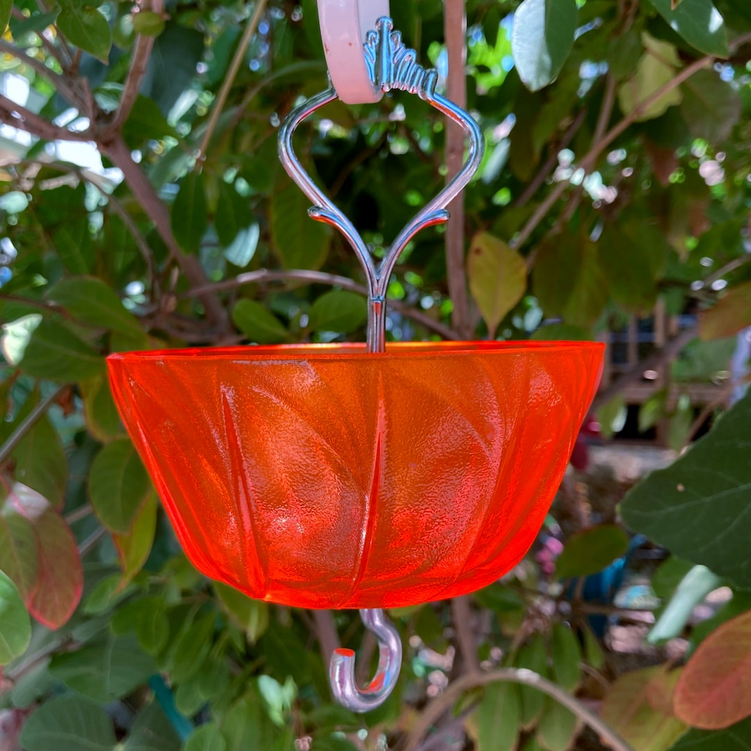 Fancy Ant Moat: Natural Ant Prevention for Bird Feeders - Etsy