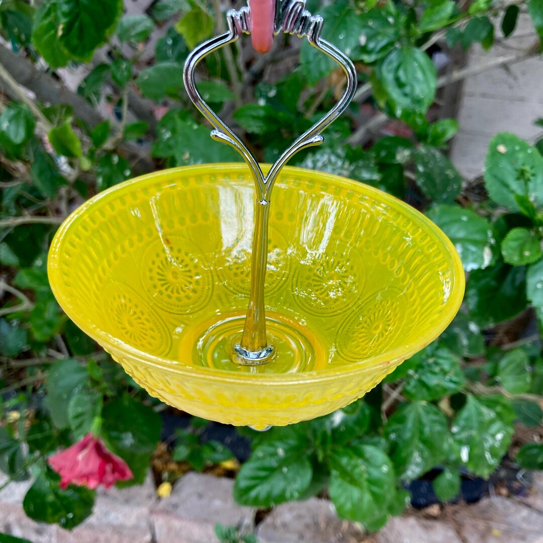 Fancy Ant Moat: Natural Ant Prevention for Hummingbird & Oriole Feeders ...