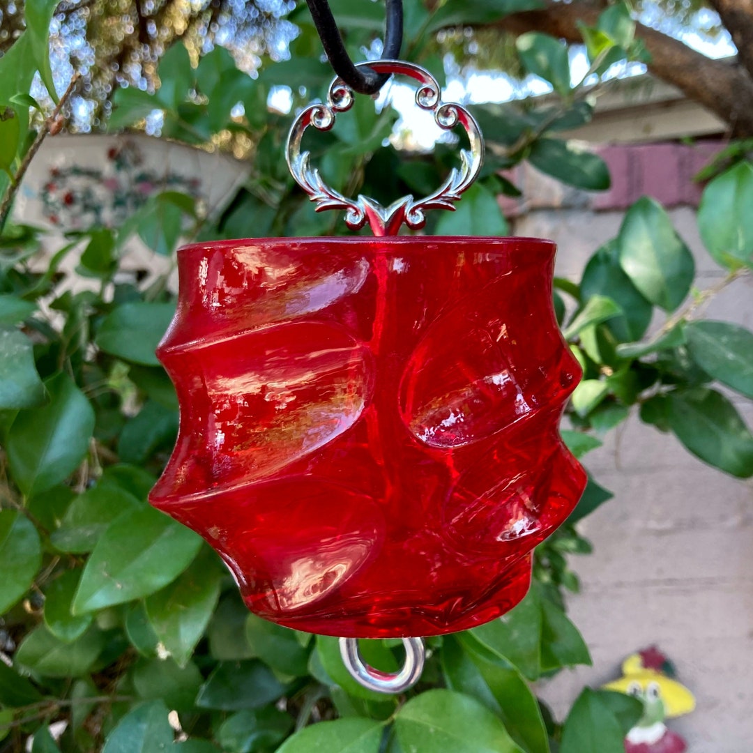 Fancy Ant Moat: Natural Ant Prevention for Hummingbird & Oriole Feeders ...