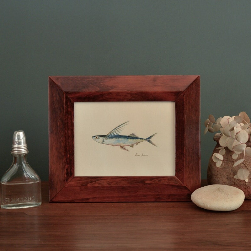 Flying Fish Print - Etsy