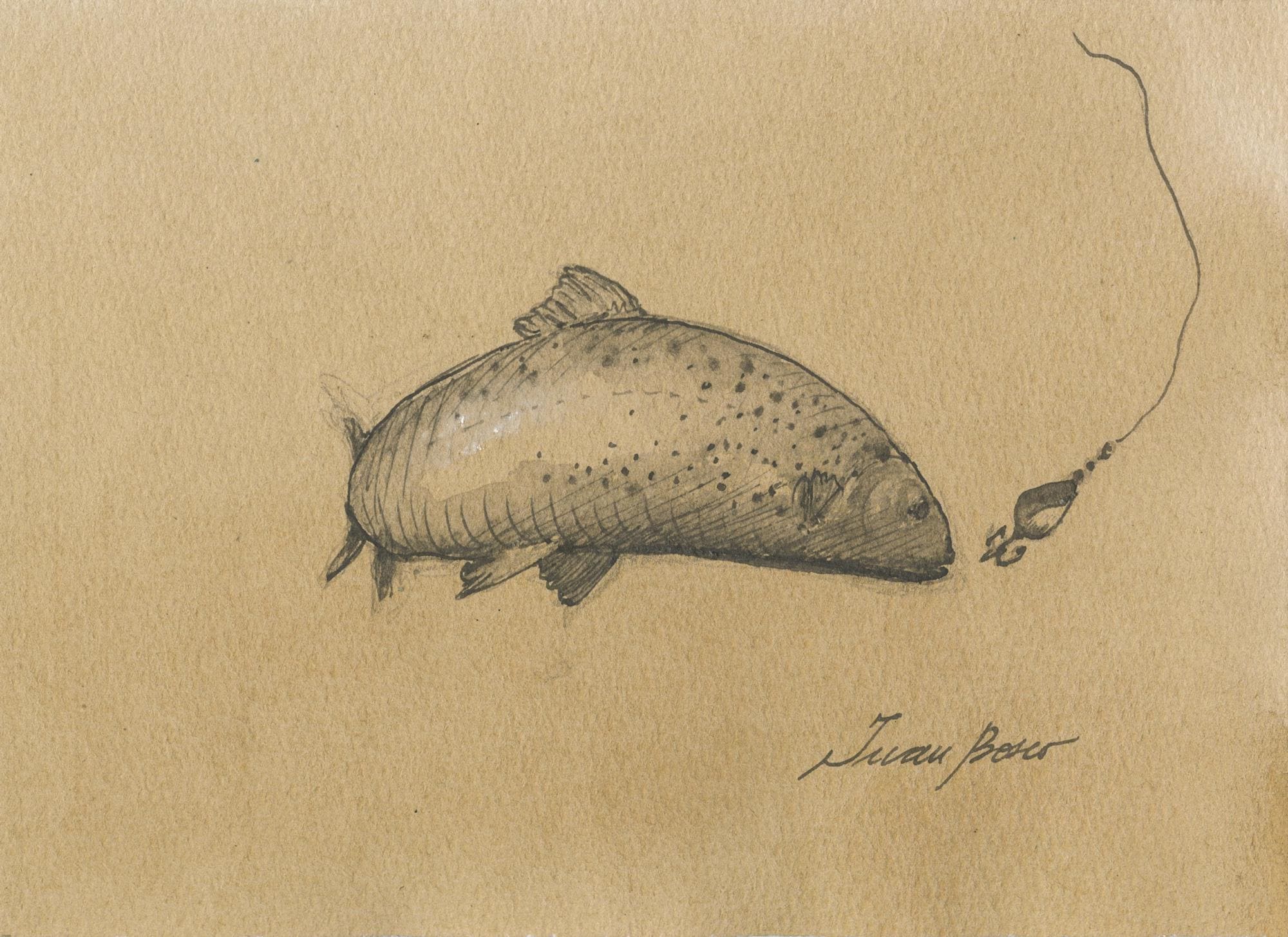 Original, NOT A PRINT - Trout Art, Fly Fishing Charcoal Sketch ...