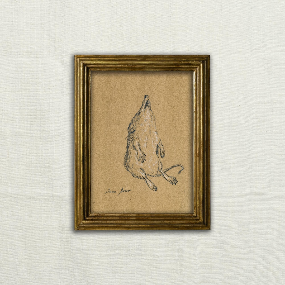 Original, NOT A PRINT - Shrew Art, Shrew Charcoal Sketch, Minimal Shrew ...