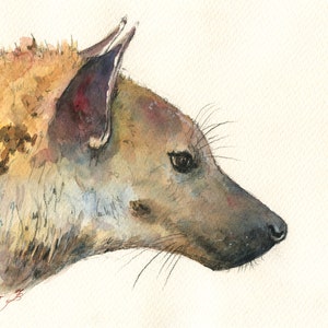 Spotted Hyena Original Waterlocor, Hyena Print, Crocuta Crocuta ...