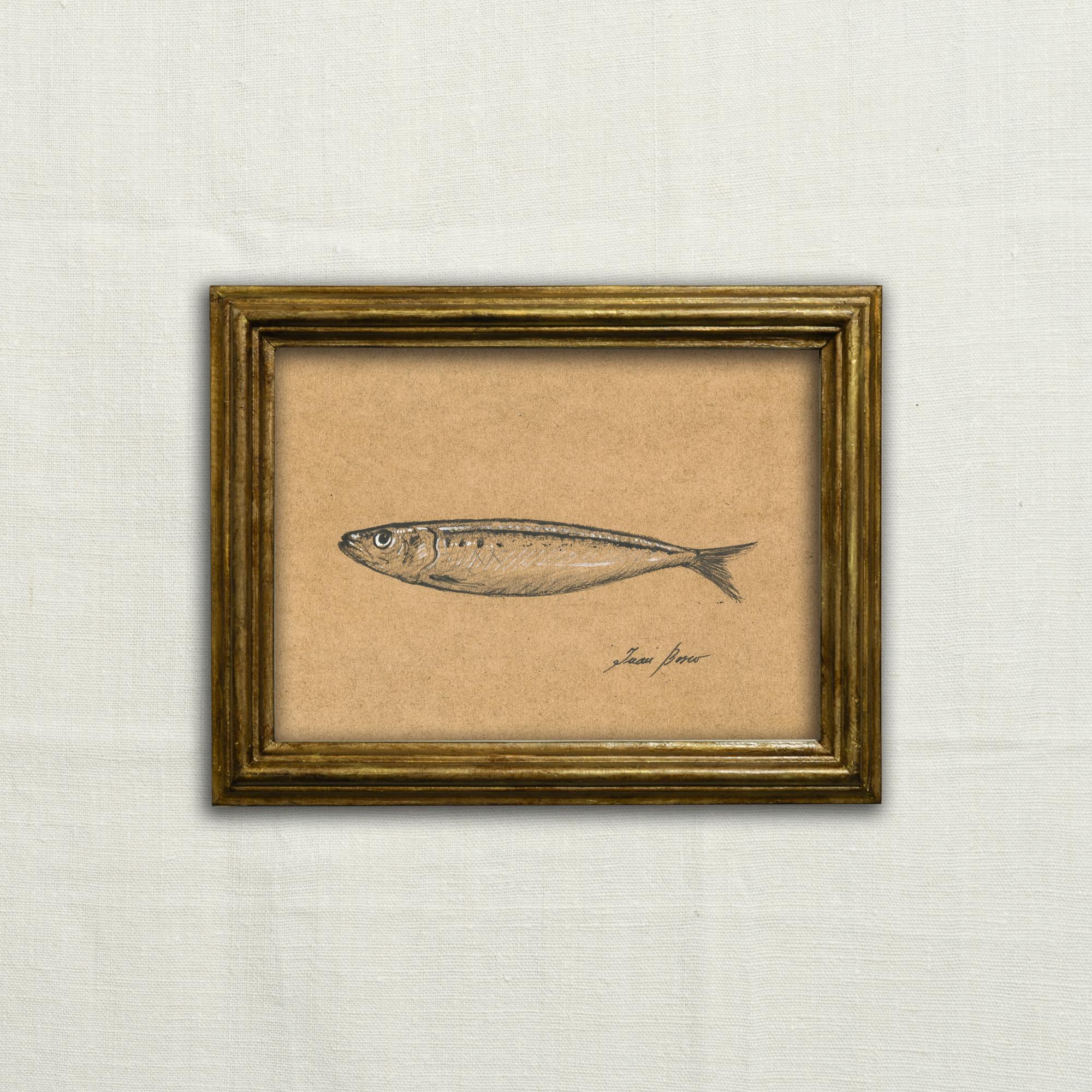 Original, NOT A PRINT- Pilchard Artwork, Sardine Charcoal Sketch ...