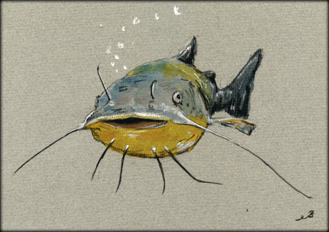 Print-catfish Fish, Catfish Art, Catfish Print, Catfish Painting ...