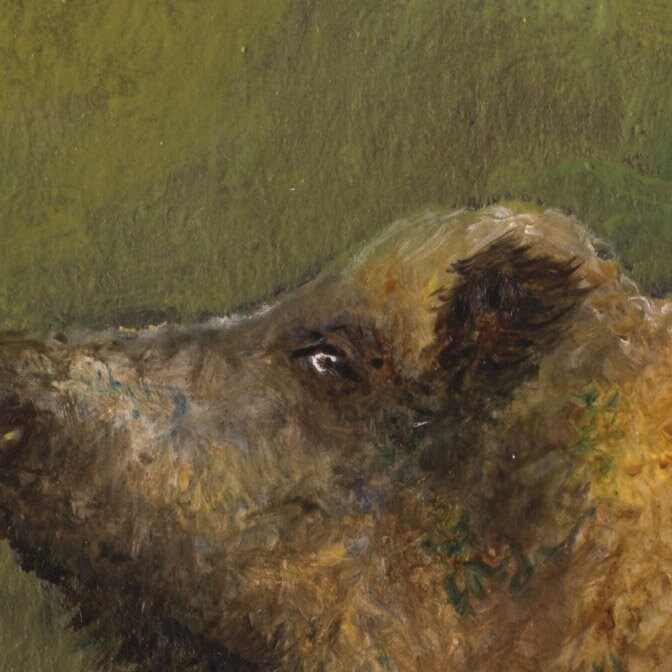 PRINT -wild Boar Oil on Paper Painting, Wild Swine Illustration, Wild ...