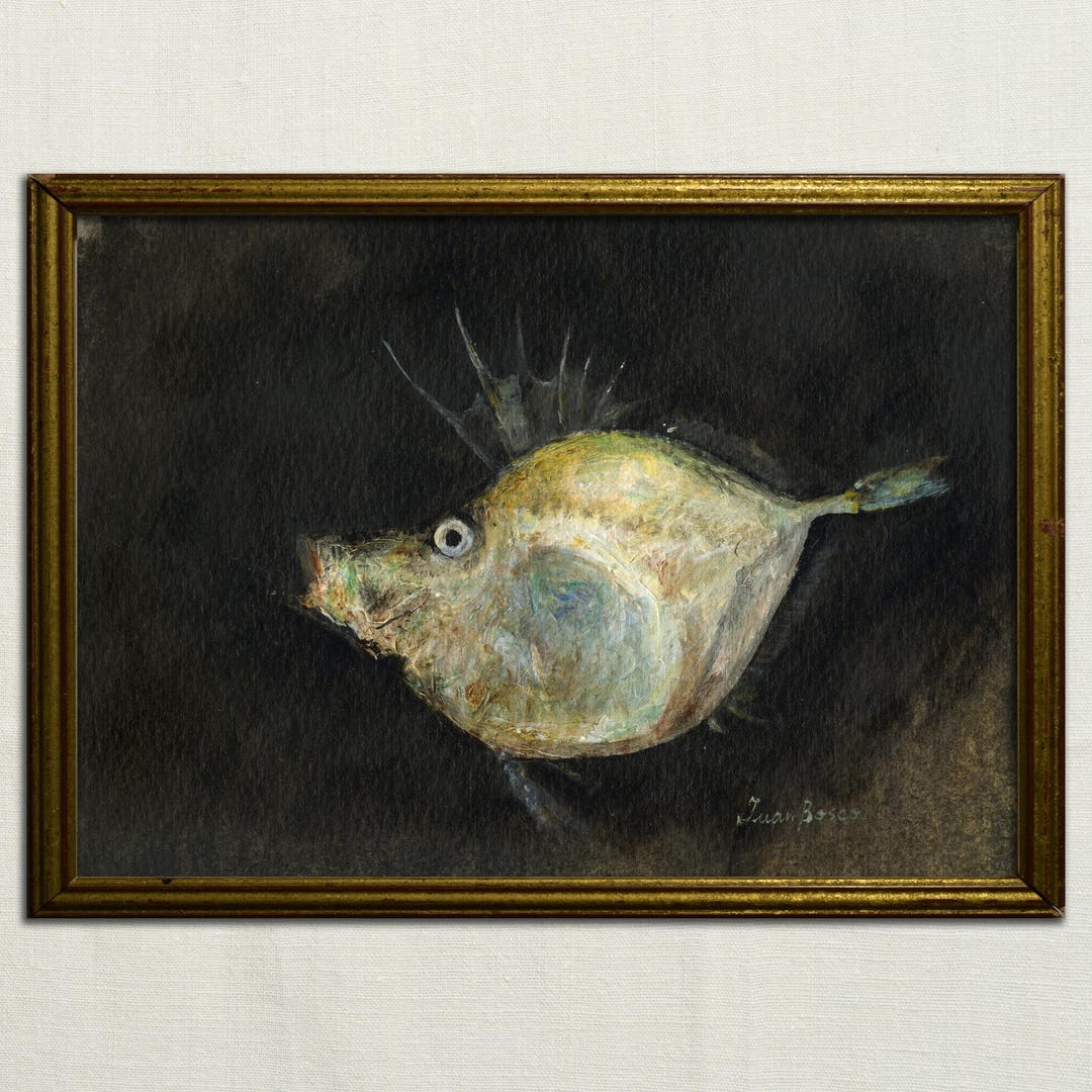 John Dory Oil on Paper Painting, St Pierre Fish Illustration, Zeus ...