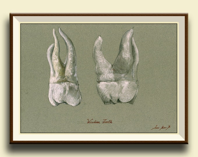 Mandibular Arch in Gray - Abstract Teeth Watercolor Print, Dental Art ...