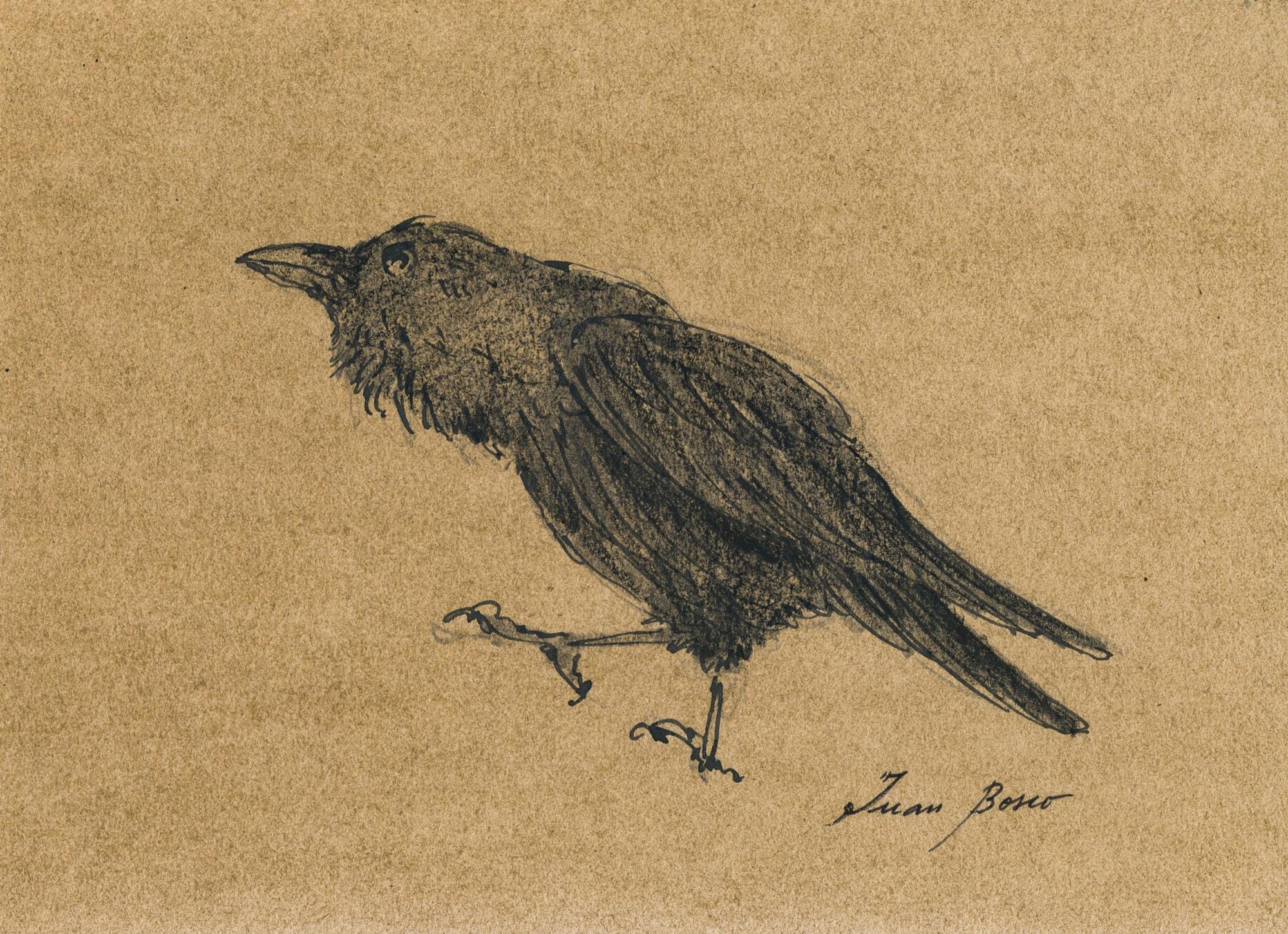 Original, NOT A PRINT - Raven Art, Crow Charcoal Sketch, Minimal Crow ...
