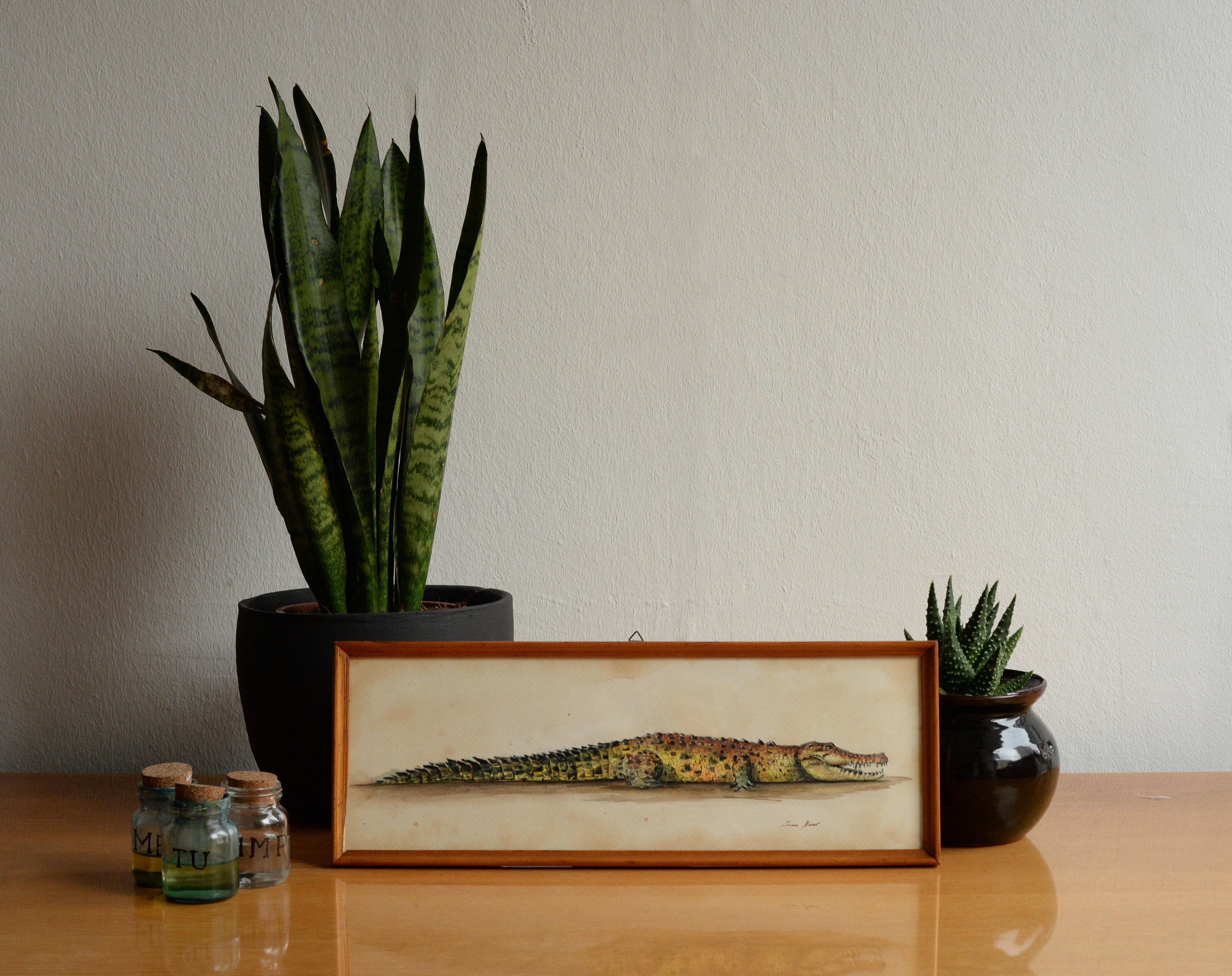 Saltwater Crocodile Watercolor Crocodile Painting Crocodile | Etsy