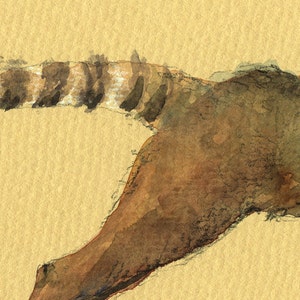 Print-coati Coatimundi Animal - Head Painting Watercolor PRINT Coati ...