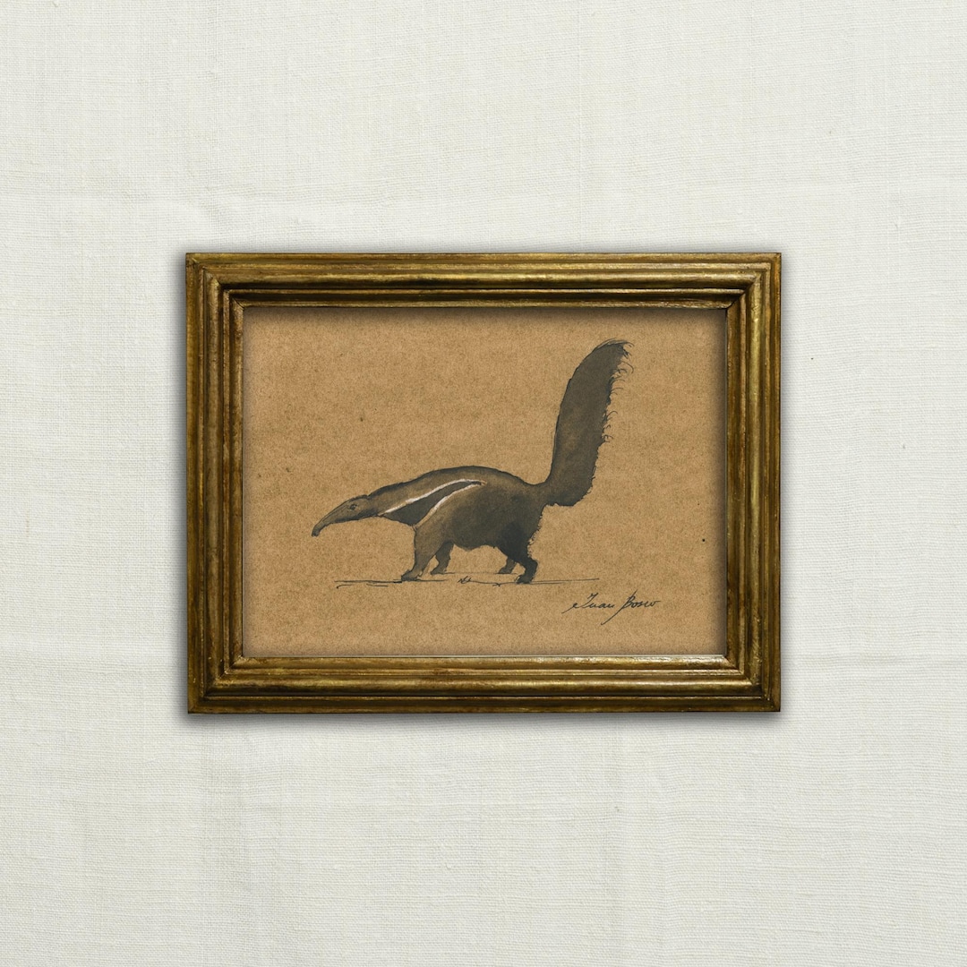 Original, NOT A PRINT - Giant Anteater Art, Antbear Watercolor Sketch ...