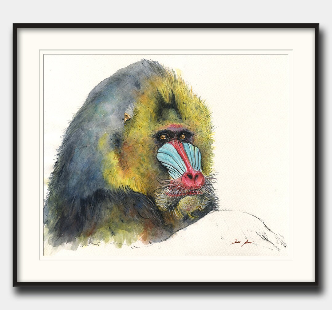 Giclée Acrylic Mandrill painting print Rainforest animal Giclee ...