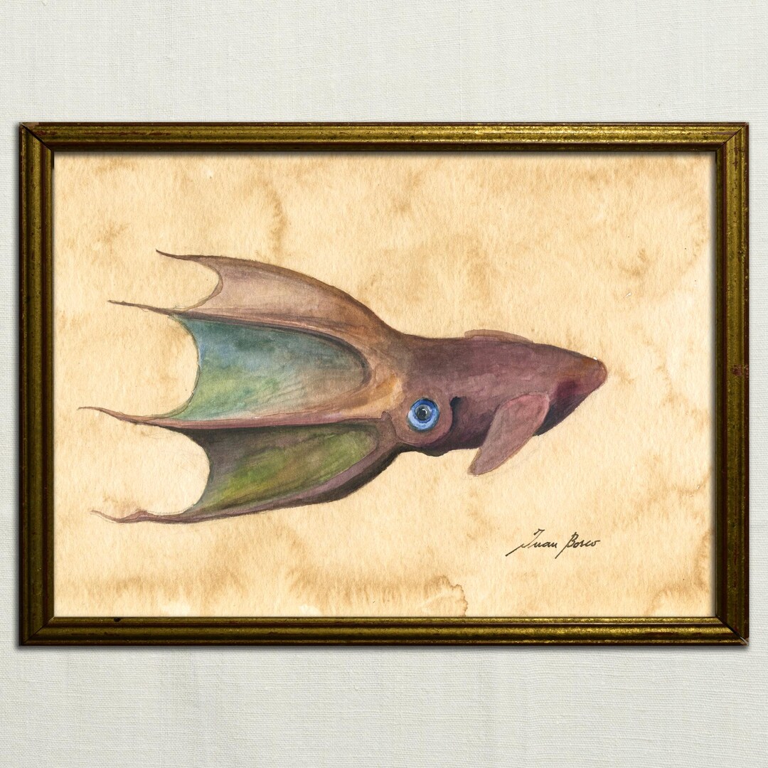 Vampire Squid Watercolor on Paper Painting, Cephalopod Artwork ...